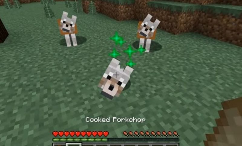5 things players didn't know about the wolf in Minecraft