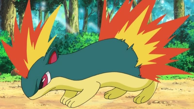 Top 5 Stage 2 Starter Pokemon