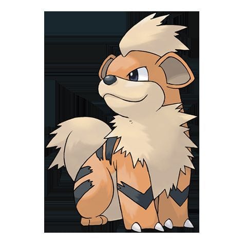 Top 5 Pokemon that only evolve once