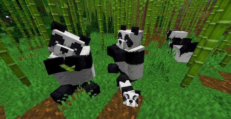 Where to find pandas in Minecraft