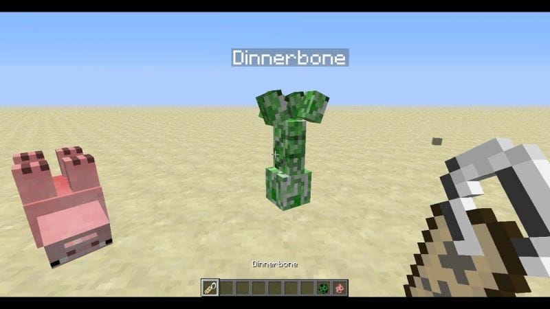 Minecraft developer Dinnerbone