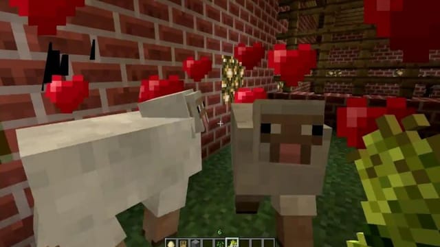 Breeding sheep in Minecraft: Everything player need know