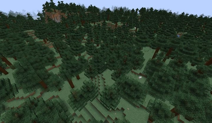 Where is the spruce tree located in Minecraft