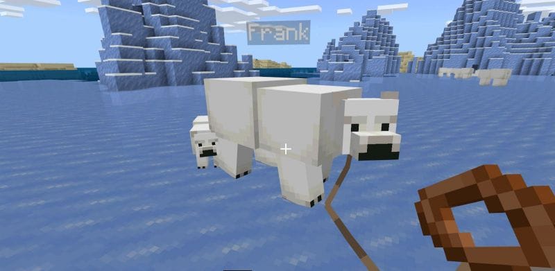 How to tame a Polar Bear in Minecraft: Find & Tame Polar Bear!