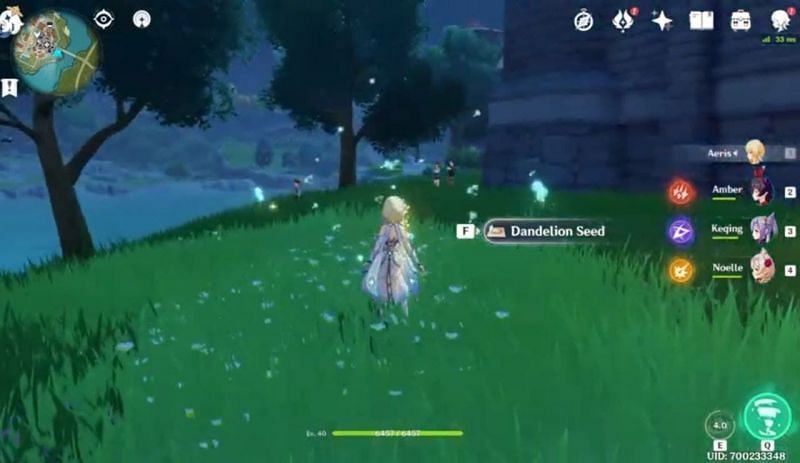 How To Get Dandelion Seeds In Genshin Impact Top 5 Farming Locations