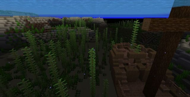 Top 5 uses for water in Minecraft
