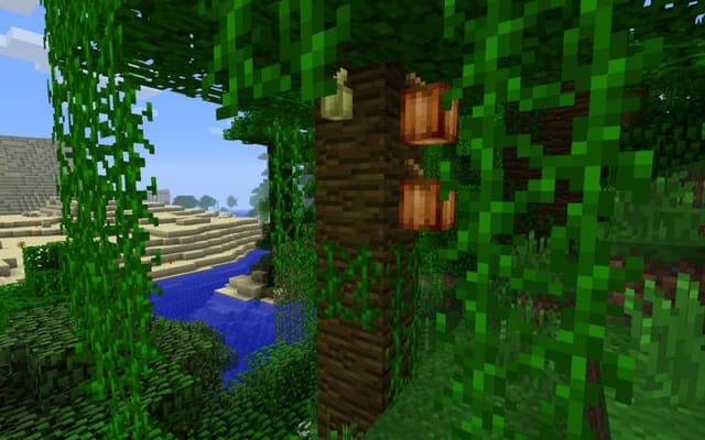 Top 5 uses for Cocoa Beans in Minecraft