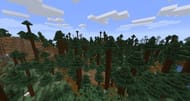 Where is the spruce tree located in Minecraft
