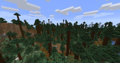 Where is the spruce tree located in Minecraft