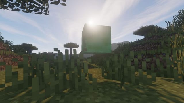 How to find Leads in Minecraft