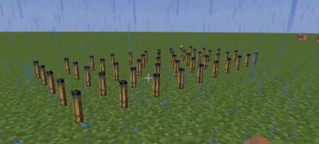 5 things players didn't know about the torch in Minecraft