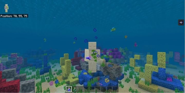 5 best Minecraft ocean seeds
