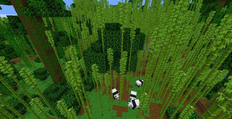 Where to find pandas in Minecraft