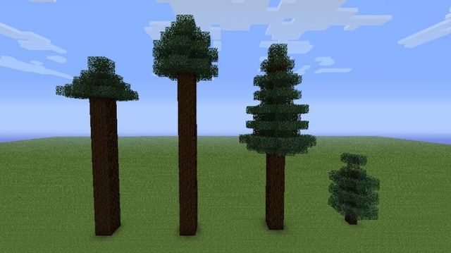 Where is the spruce tree located in Minecraft