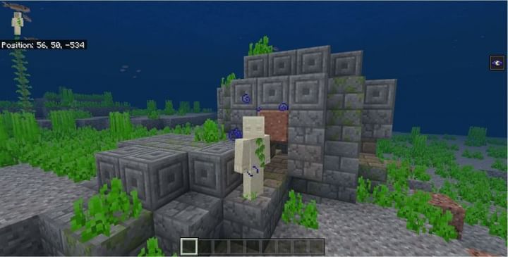 5 best Minecraft ocean seeds