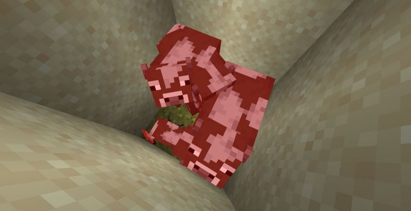 Top 5 uses of Wither Roses in Minecraft