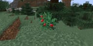 Sweet Berries in Minecraft: Everything players need to know