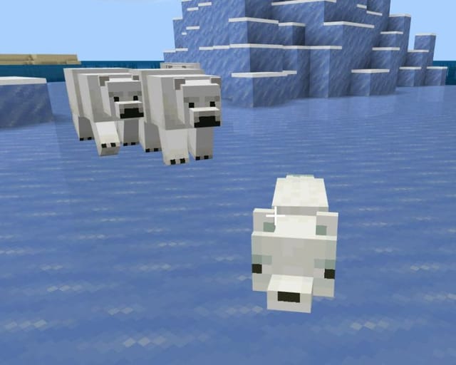How to tame a Polar Bear in Minecraft: Find & Tame Polar Bear!