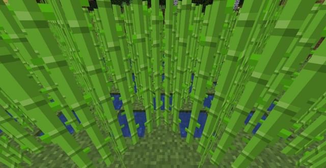 Top 5 uses for sugar cane in Minecraft