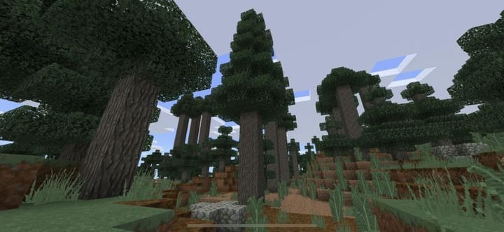 Where do wolves spawn in Minecraft?