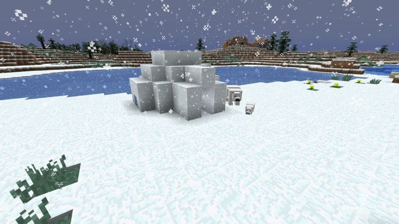 Where is the spruce tree located in Minecraft