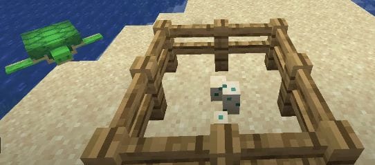 Turtle Eggs in Minecraft: Everything players need to know