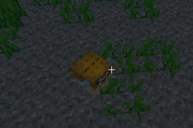 Pufferfish in Minecraft: How to Find, Its Behavior, Drops & More