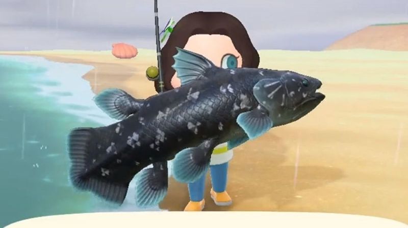 Rarest fish in Animal Crossing: New Horizons