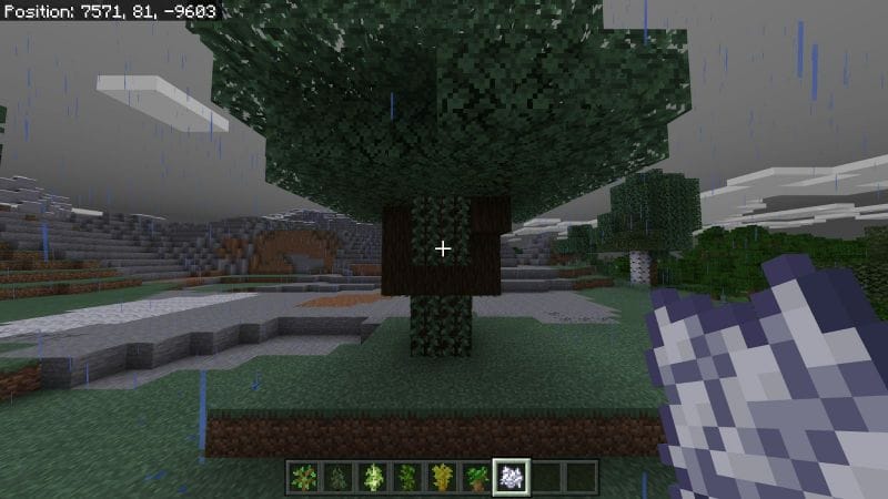Tree Farming in Minecraft: How to Farm & Use Trees