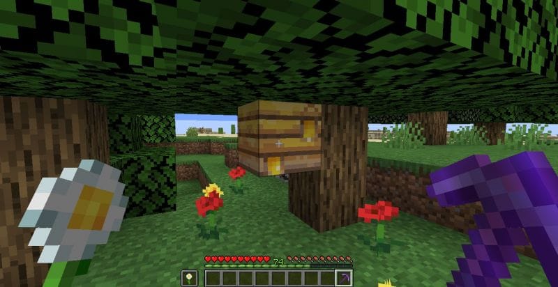 5 things players didn't know about Bee Nests in Minecraft