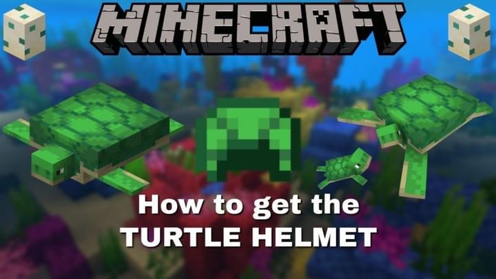 Scutes in Minecraft: Everything players need to know