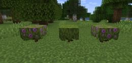Where To Find Azalea In The Minecraft 1 17 Caves Cliffs Update