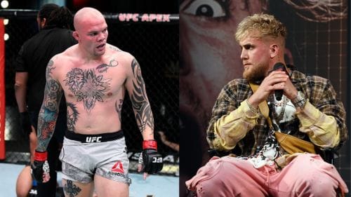 Anthony Smith Stats, News, Professional Records, Pictures, Height ...