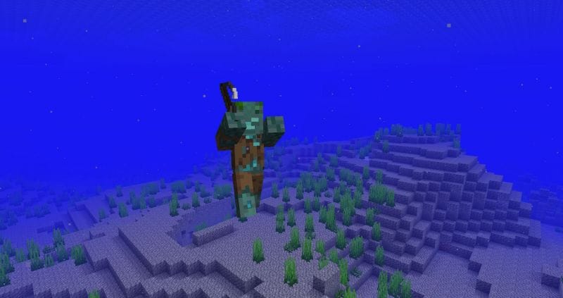 Axolotls in Minecraft: Everything players need to know