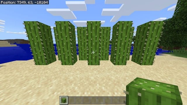 Cactus Farming in Minecraft: How to Make & Use Cactus Farms