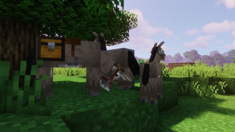 Donkeys in Minecraft: Everything players need to know