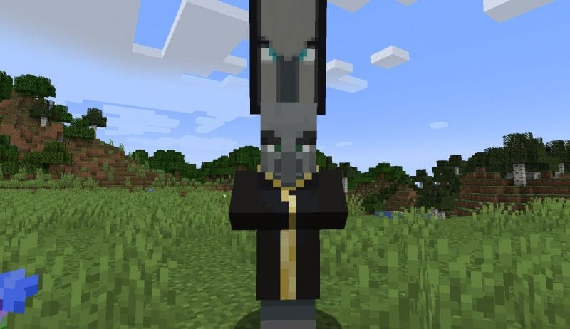 5 things players didn't know about Evokers in Minecraft