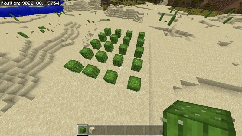 Cactus Farming in Minecraft: How to Make & Use Cactus Farms
