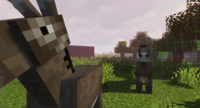 Donkeys in Minecraft: Everything players need to know