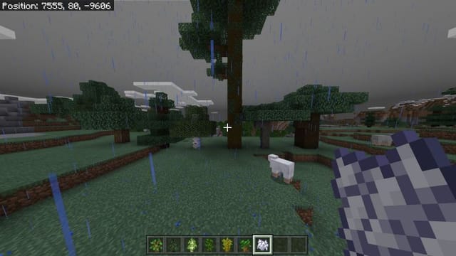 Tree Farming in Minecraft: How to Farm & Use Trees