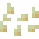 How to get Seeds in Minecraft: All Details you need to know!