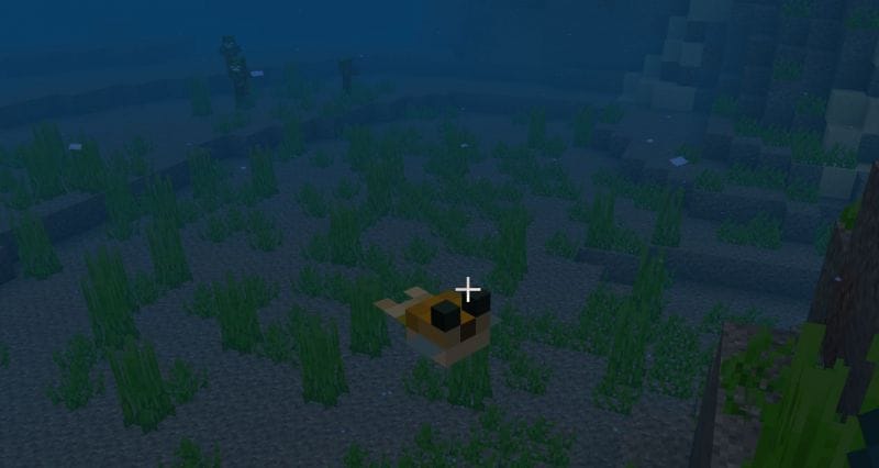 Pufferfish in Minecraft: How to Find, Its Behavior, Drops & More