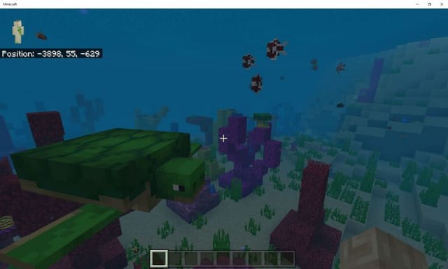 Where do turtles spawn in Minecraft?