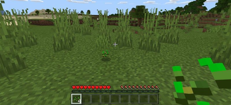 How to get Seeds in Minecraft: All Details you need to know!
