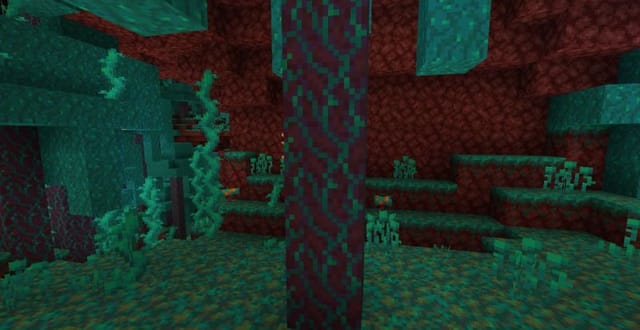 An Easy Guide: How to get on top of the Nether ceiling in Minecraft?