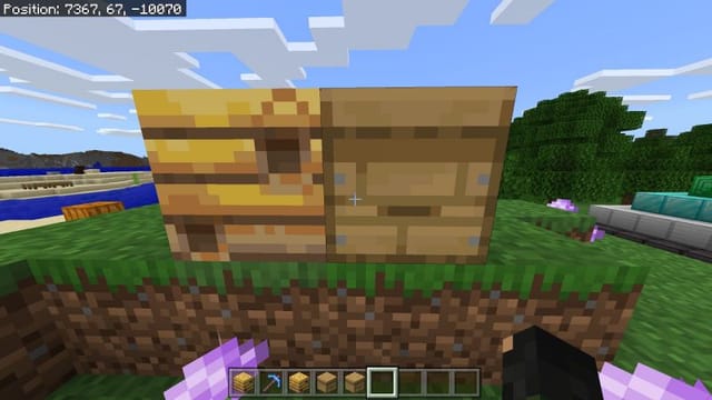 How to Get Honey in Minecraft: All you need to know!