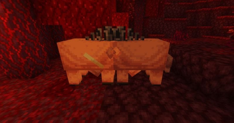 Hoglins in Minecraft: Everything players need to know