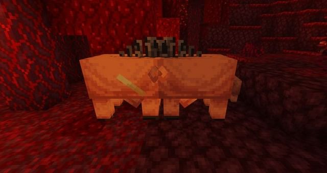 Hoglins In Minecraft Everything Players Need To Know