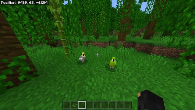 Parrots in Minecraft: Spawning, Behavior & Drops