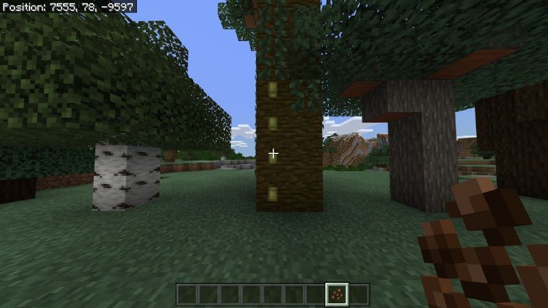 Tree Farming in Minecraft: How to Farm & Use Trees